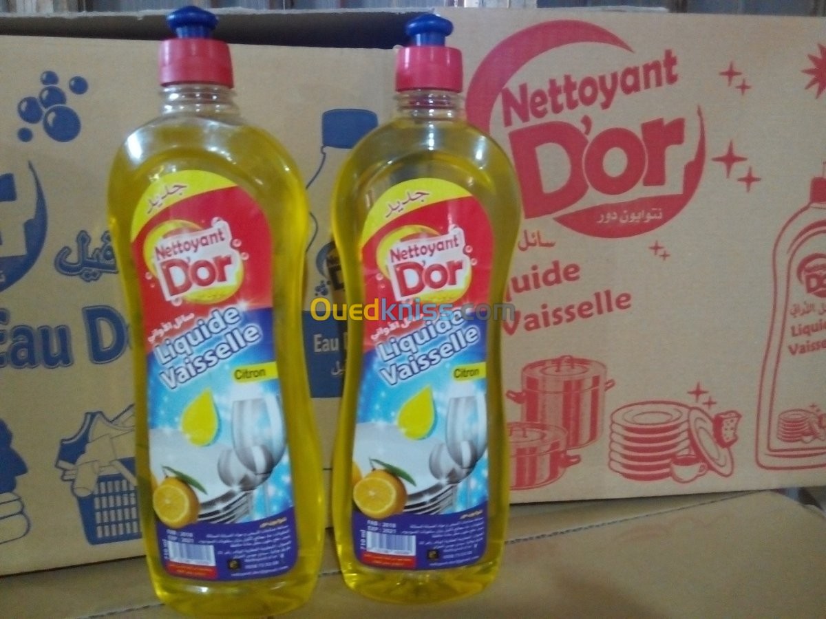 Production des produits détergents - Alger Algérie