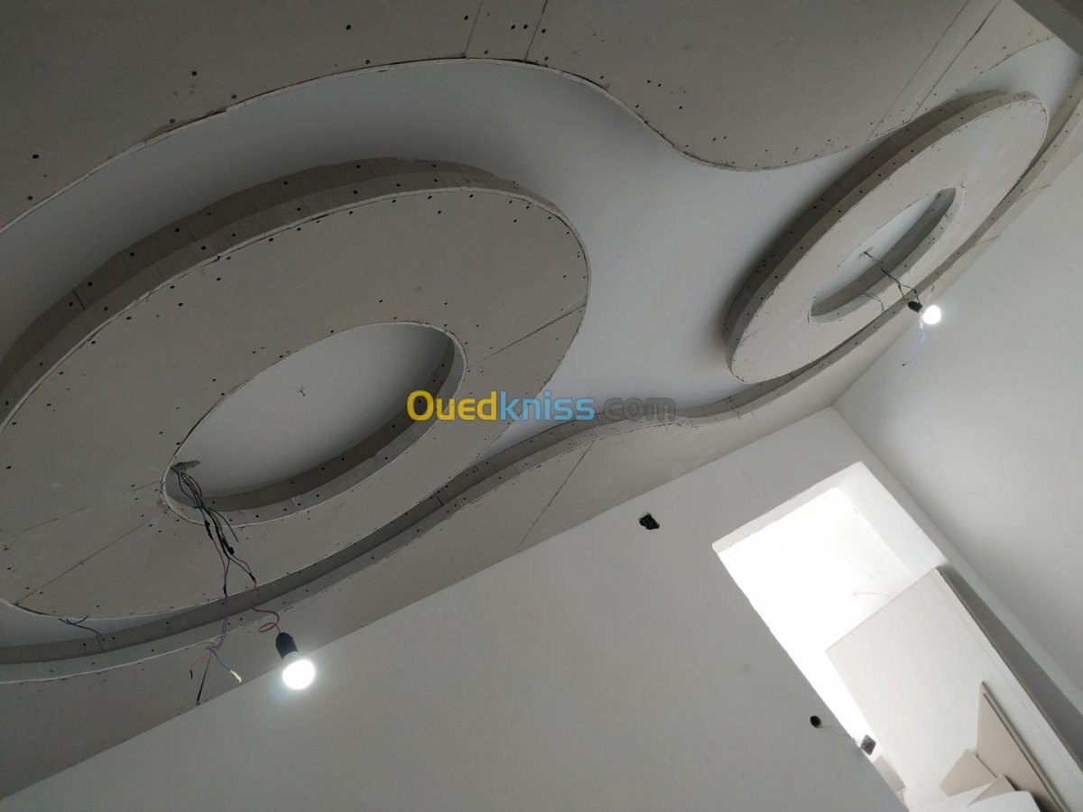 Placo plate et PVC - Alger Algérie