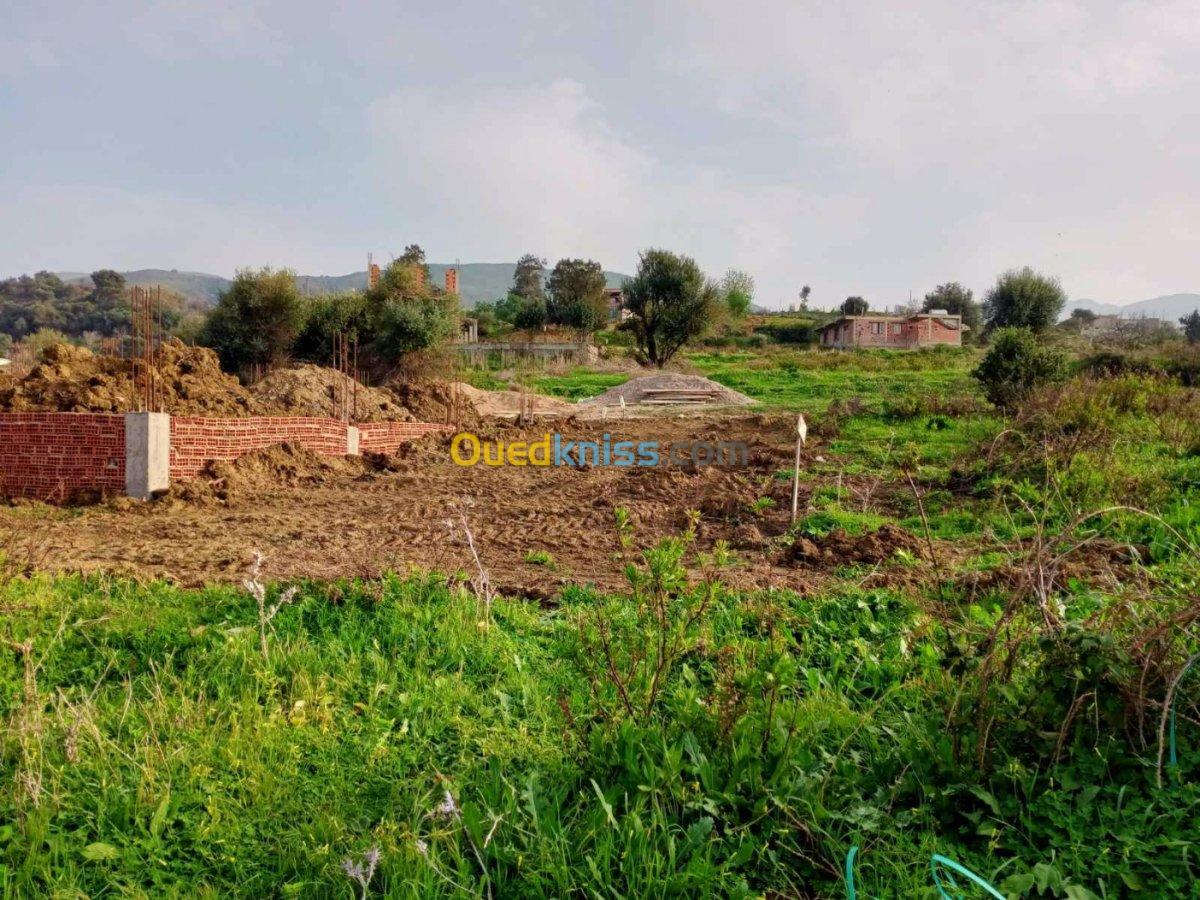 Vente Terrain Blida Bougara - Blida Algérie