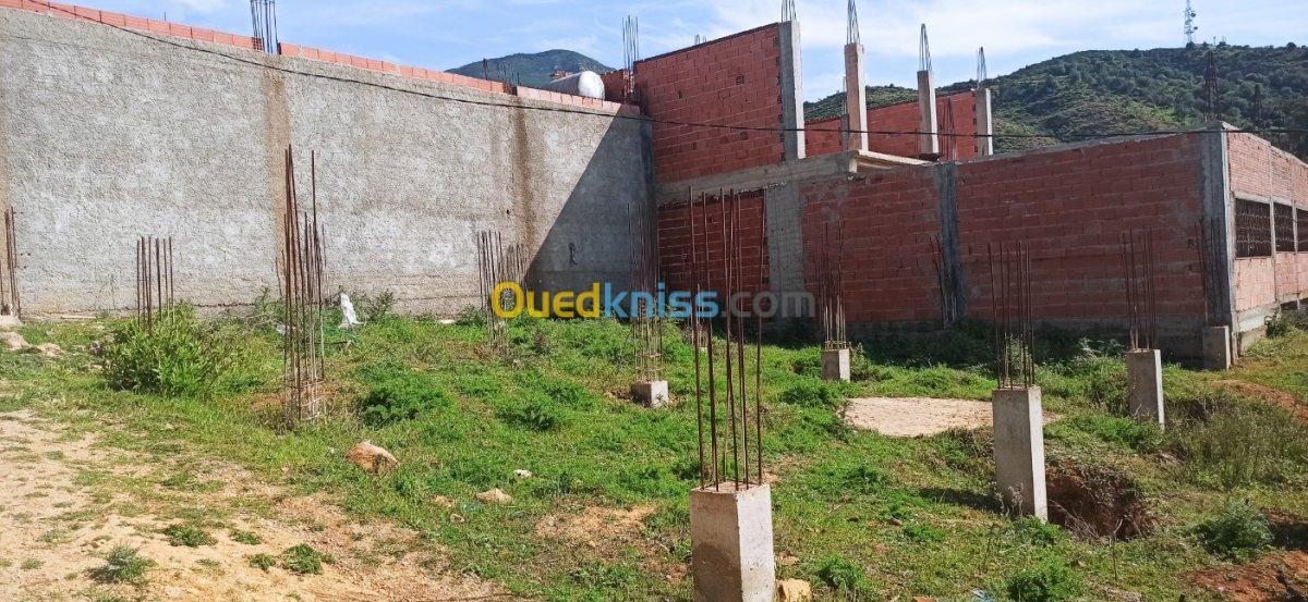 Vente Terrain Blida Mouzaia Blida Mouzaia - Ouedkniss.com - Algérie