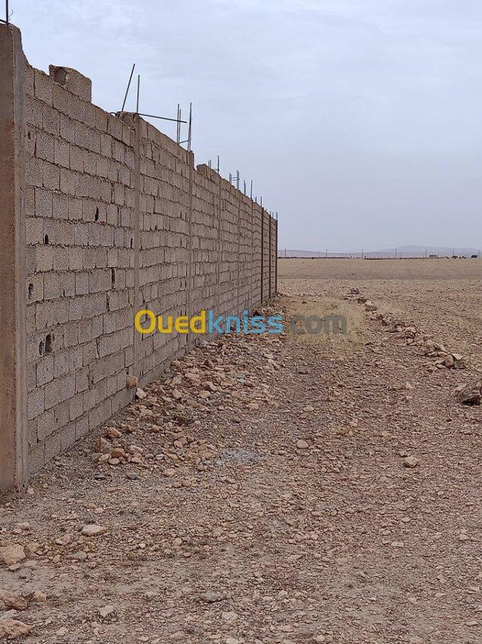 Vente Terrain Djelfa Djelfa Djelfa Djelfa - Ouedkniss.com - Algérie