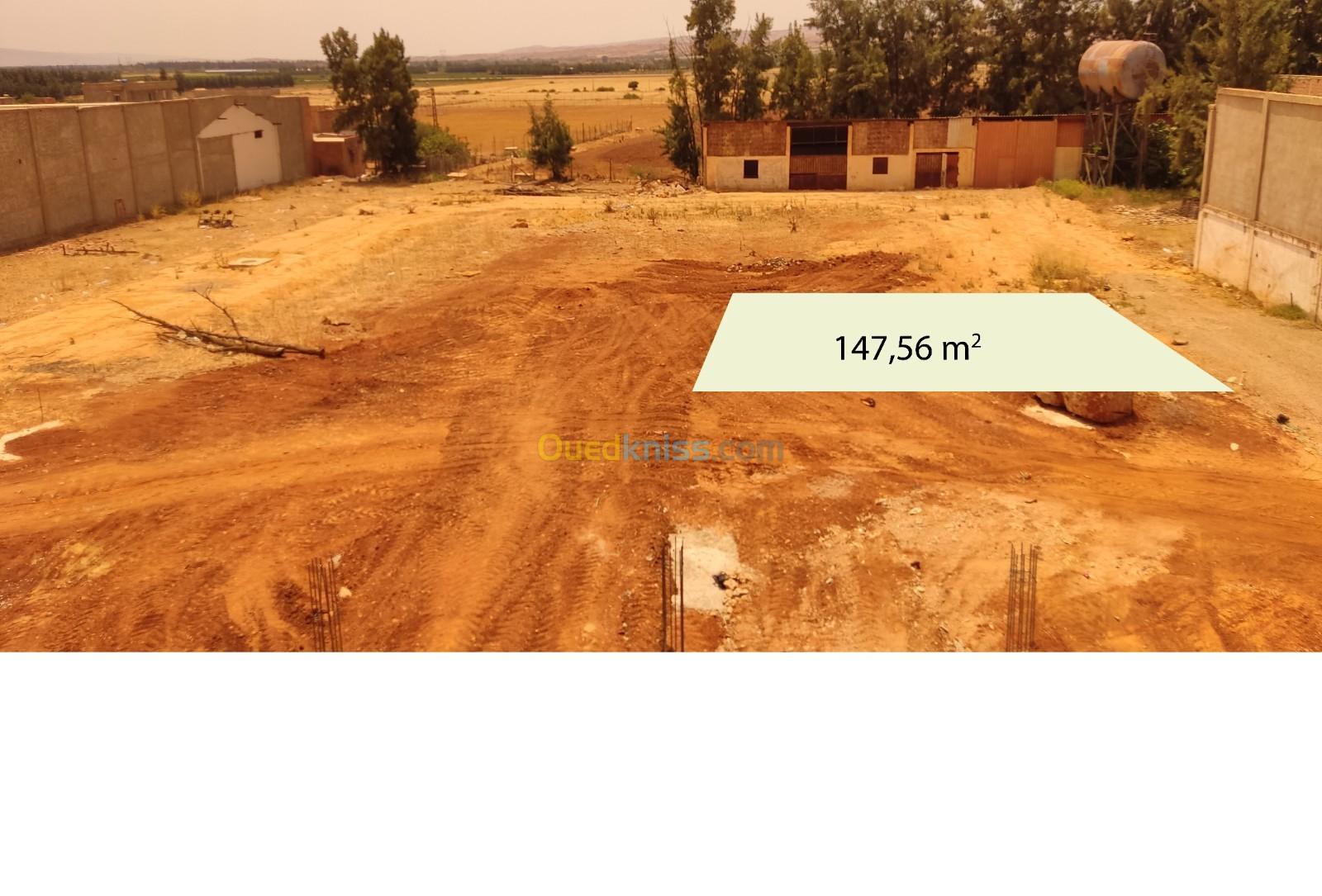 Sell Land Chlef Chettia - Chlef Algeria