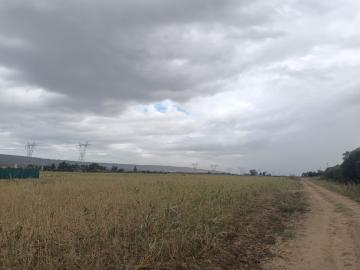 بيع أرض فلاحية تيبازة حطاطبة تيبازة حطاطبة - واد كنيس - الجزائر