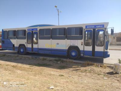 100 - Bus Véhicules - Ouedkniss.com - Algérie