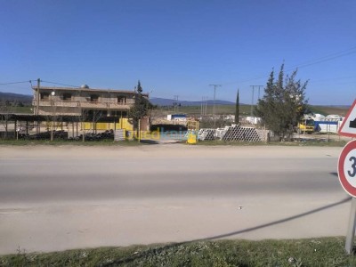 azzaba t0005 - Immobilier - Ouedkniss.com - Algérie