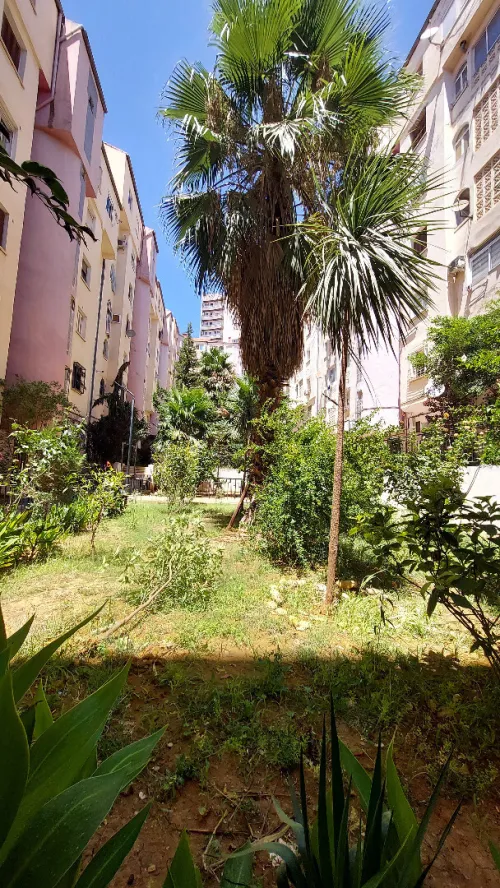 Ouedkniss - Vente Appartement F3 Alger Ouled fayet Algérie