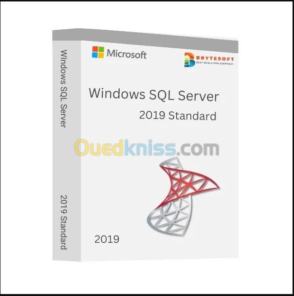 Microsoft SQL Server 2019 Standard Runtime coffret - Alger Algérie