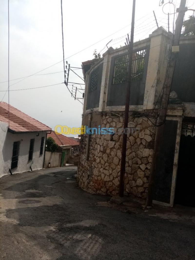 Vente Villa Alger El madania Alger El madania - Ouedkniss.com - Algérie