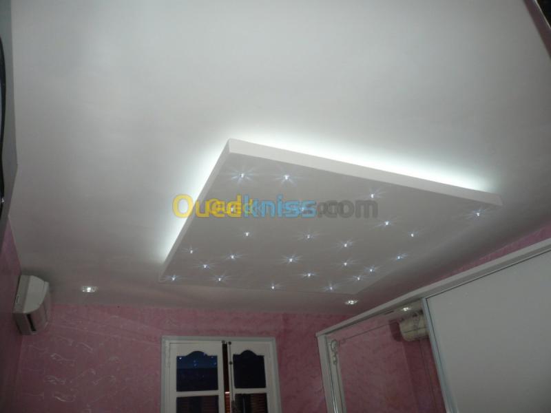 Faux plafond placo-PVC-demontable. . . Alger Birkhadem - Ouedkniss.com - Algérie