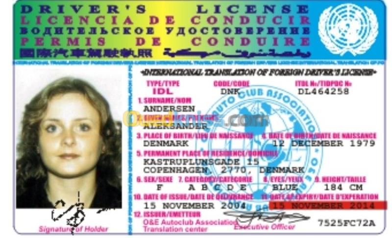 Permis de conduire international Mostaganem Mostaganem - Ouedkniss.com ...