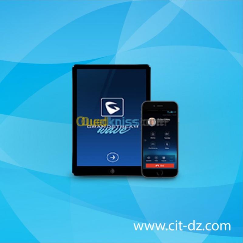 softphone GRANDSTREAM GS WAVE - Alger Algérie