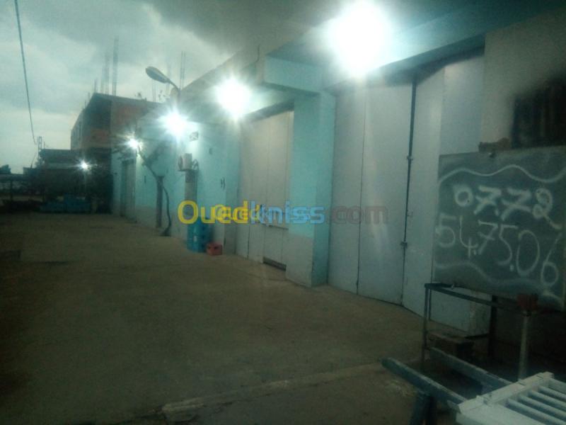 Location Local Skikda Azzaba Skikda Azzaba - Ouedkniss.com - Algérie