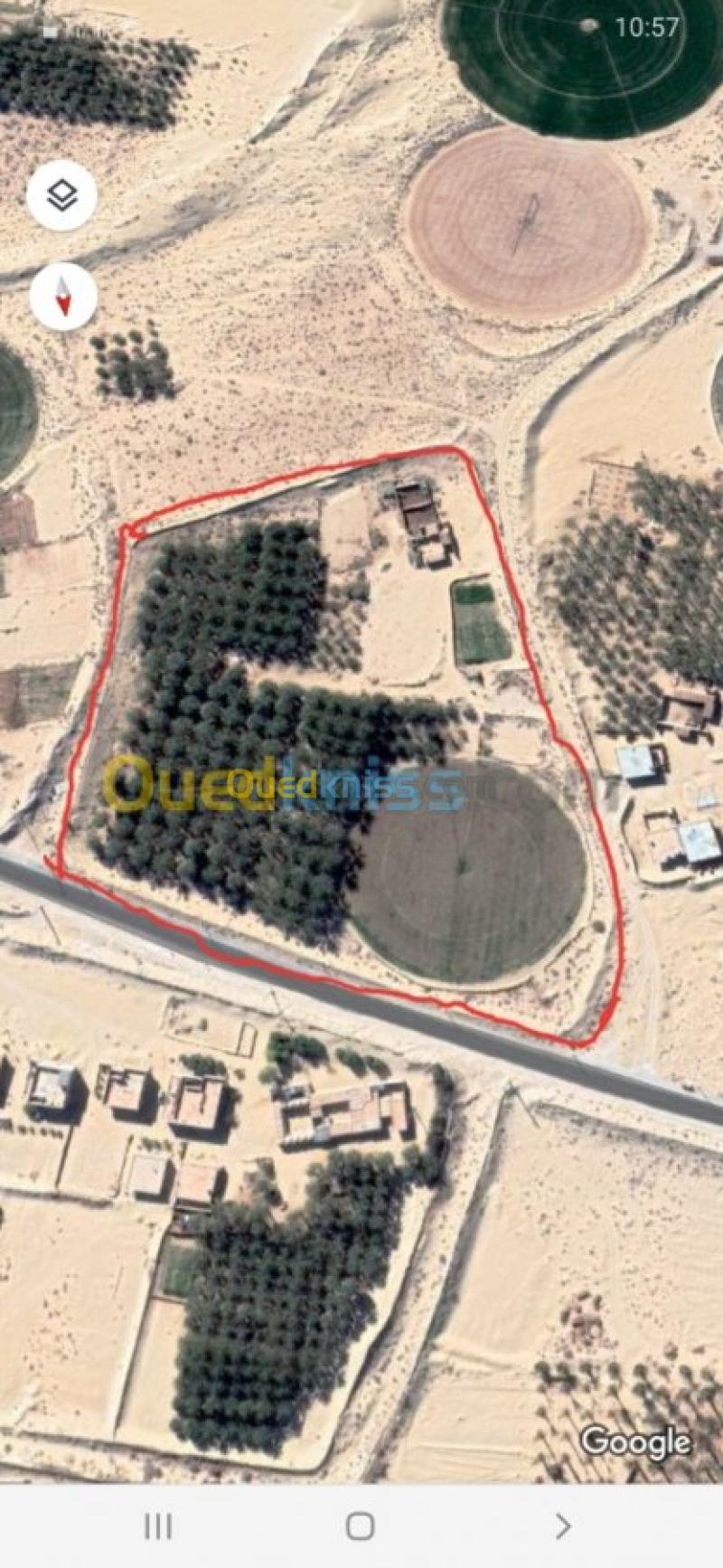 Vente Terrain El oued Ourmas El Oued Ourmas - Ouedkniss.com - Algérie