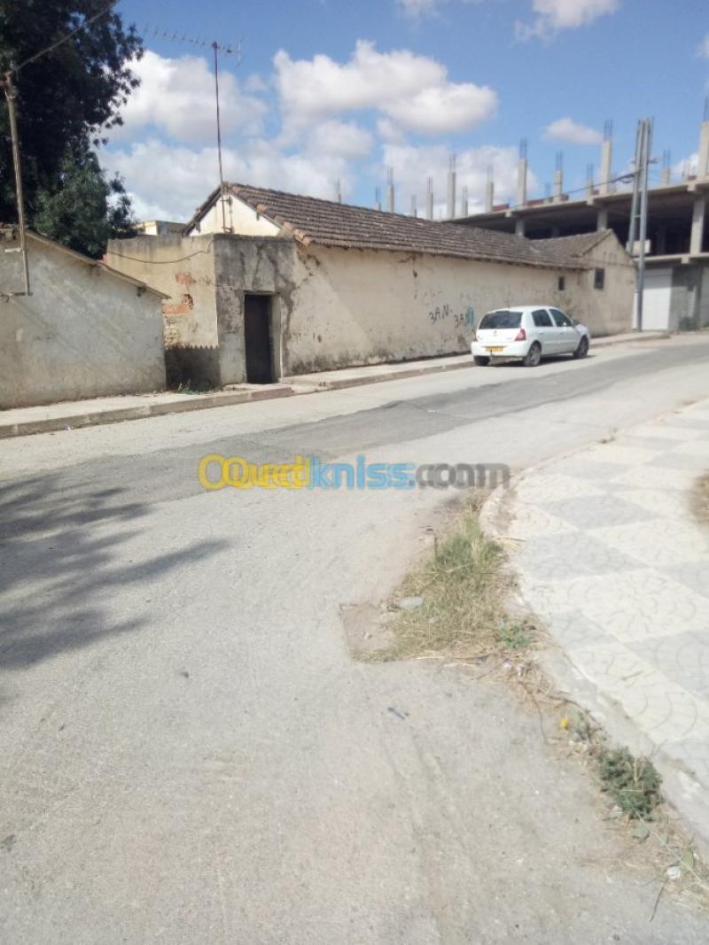 Vente Villa Annaba Ain berda - Annaba Algérie