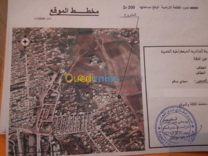 Vente Terrain Ain defla El attaf Aïn Defla El attaf - Ouedkniss.com ...
