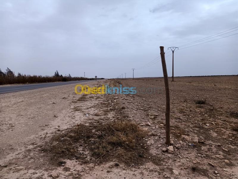 Vente Terrain Djelfa Djelfa Djelfa Djelfa - Ouedkniss.com - Algérie