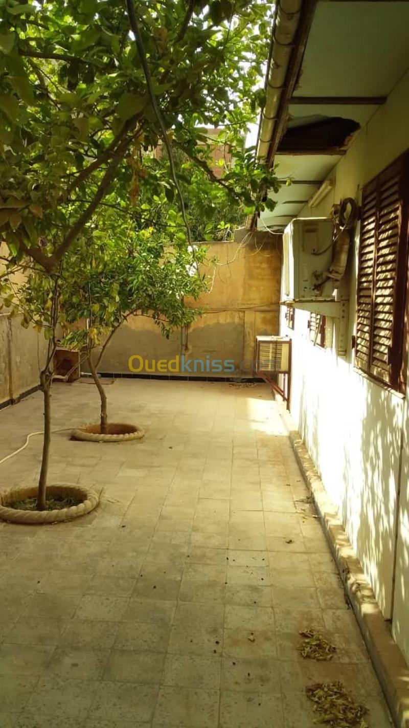 Vente Appartement F4 Chlef Chettia - Chlef - Promotion Immobilière Algérie