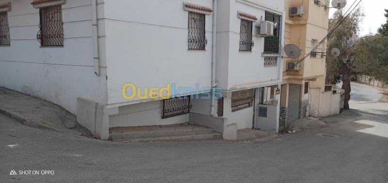 Vente Studio Tipaza Kolea Tipaza Kolea - Ouedkniss.com - Algérie