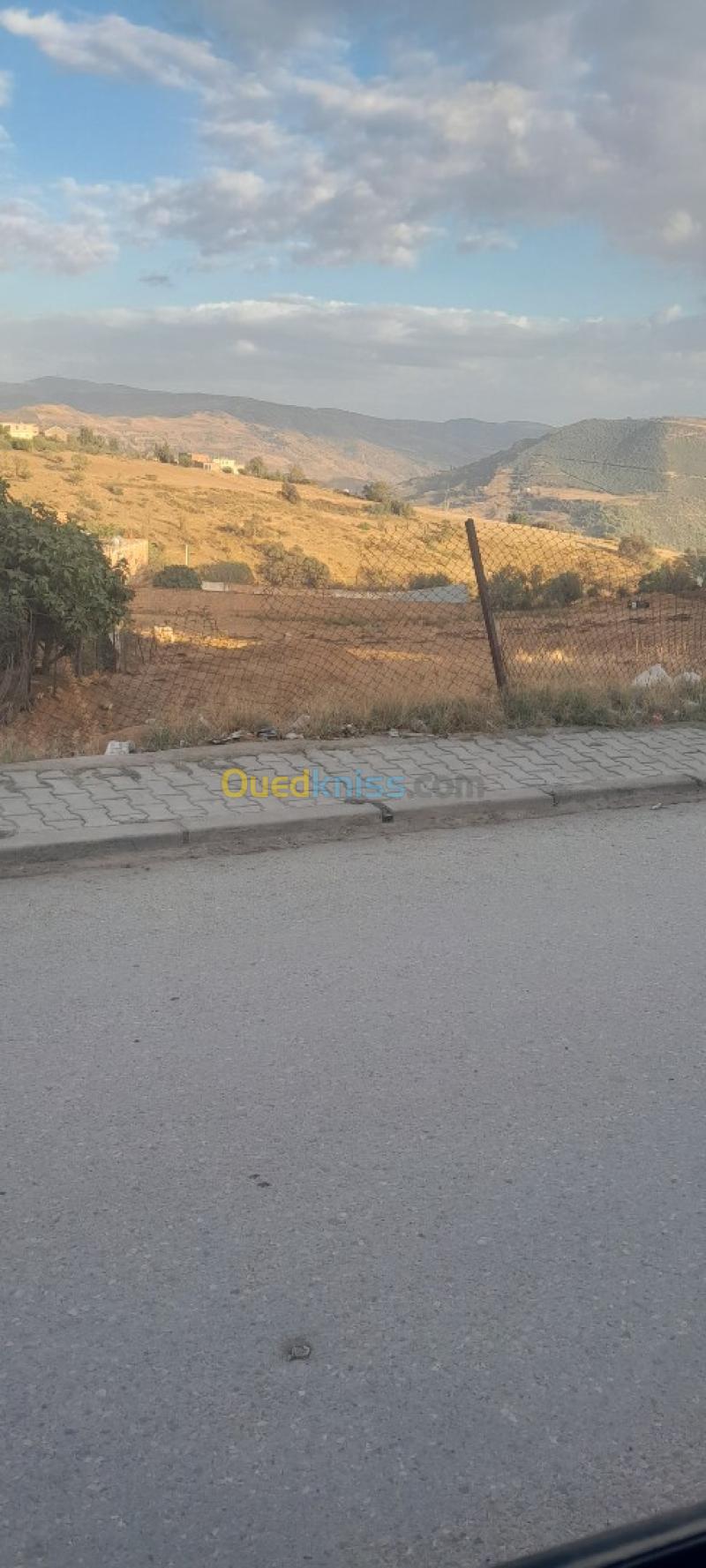Vente Terrain Médéa Medea Médéa Medea - Ouedkniss.com - Algérie
