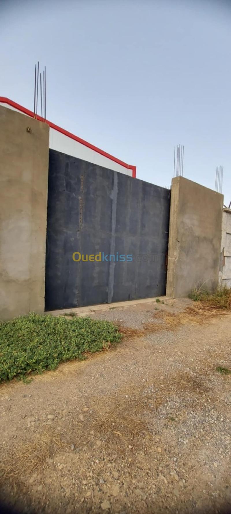 Location Hangar Sétif El eulma - Sétif Algérie