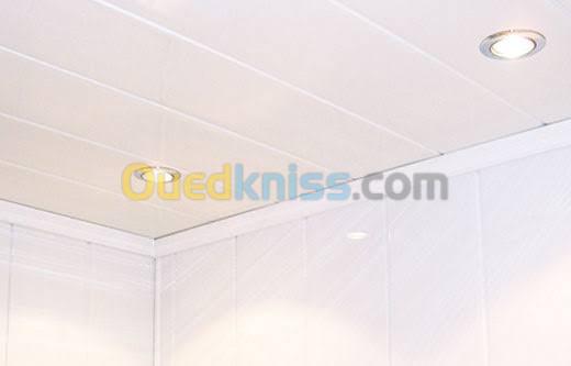Installation Faux Plafond PVC Et Placoplatre BA13 Alger Alger centre ...
