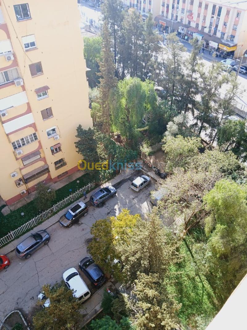 Location Local Alger Bab ezzouar Alger Bab ezzouar - Ouedkniss.com - Algérie