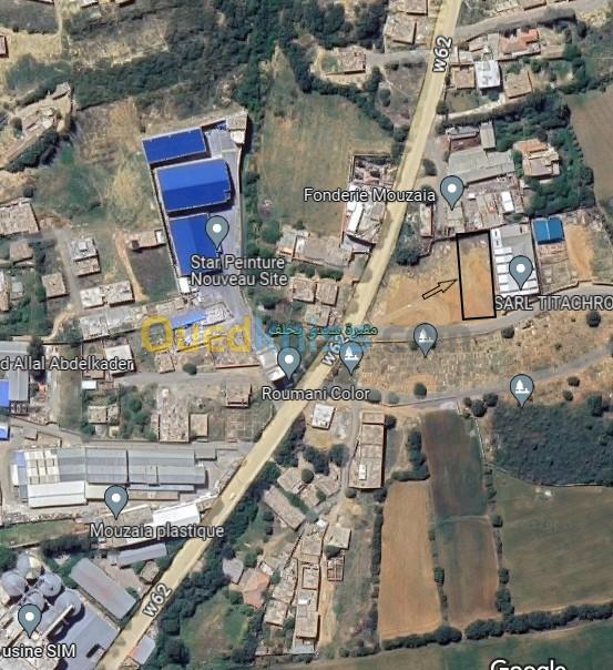 Vente Terrain Blida Ain romana - Blida Algérie