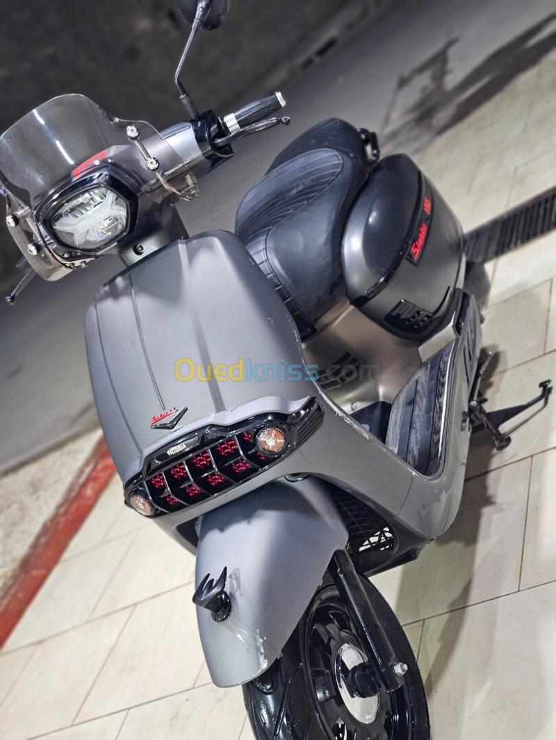 Victoria Vms 2022 Tlemcen Tlemcen - Ouedkniss.com - Algérie