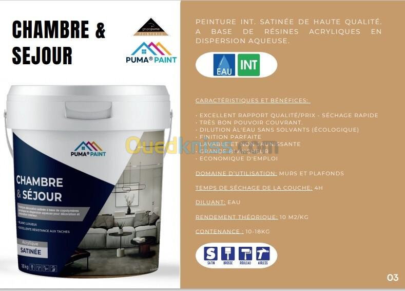 Peintures PUMA PAINT ,Intérieur et Extérieur Alger Cheraga - Ouedkniss ...