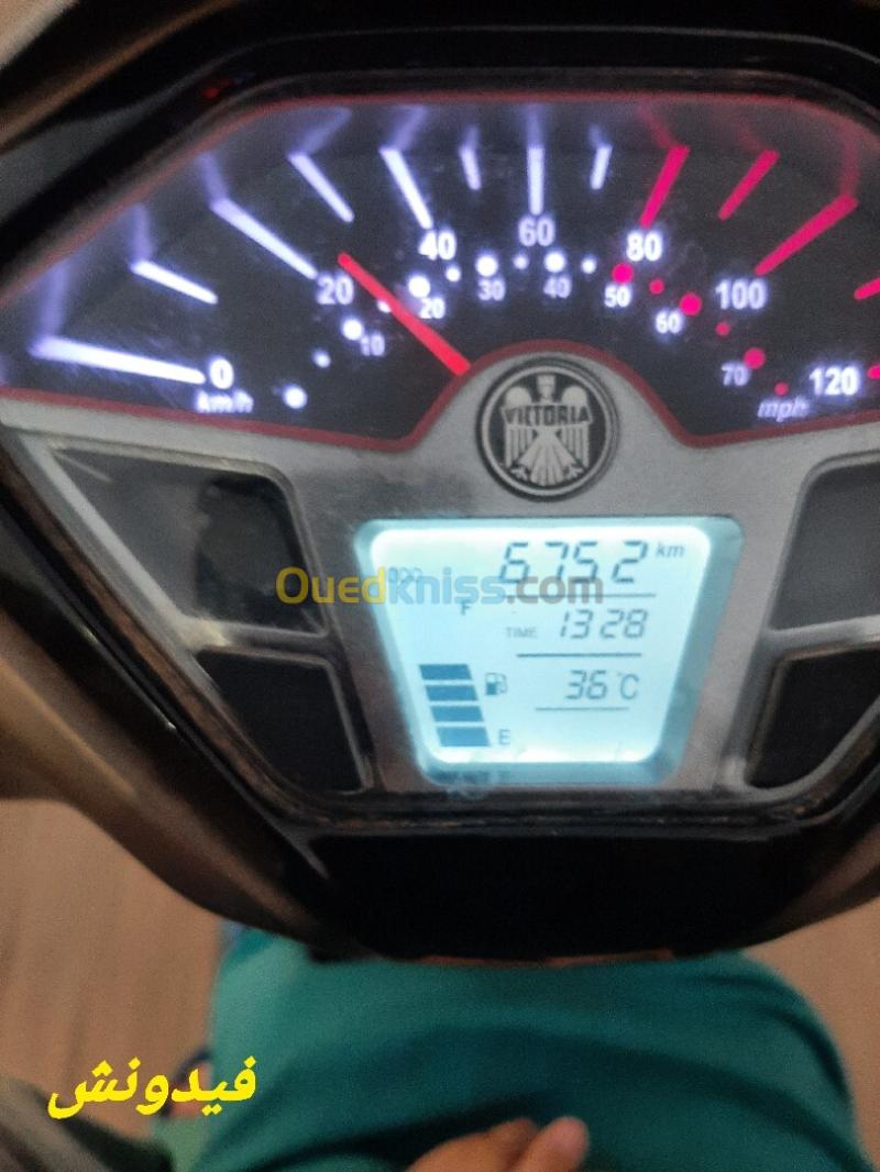 Victoria Vms 2022 Chlef Chlef - Ouedkniss.com - Algérie