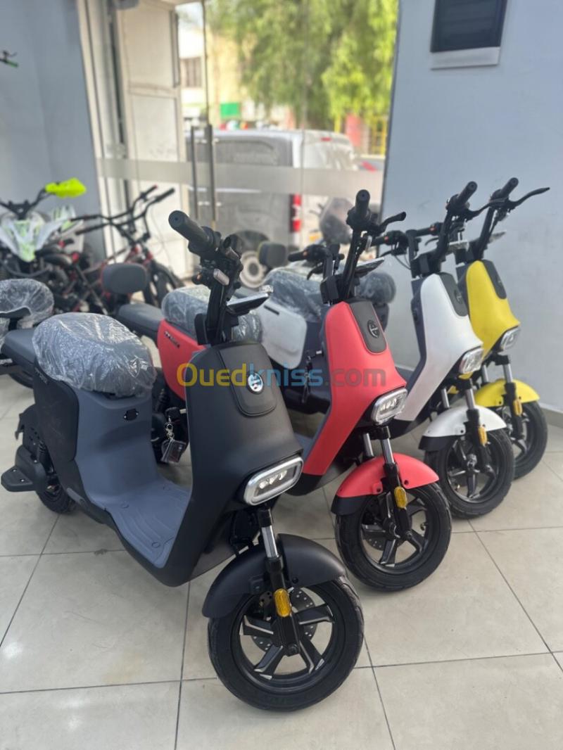 Niu TTMAX Scooter électrique 2024 Blida Beni mered - Ouedkniss.com - Algérie